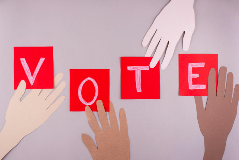 Voting Behaviour | Influential Factors